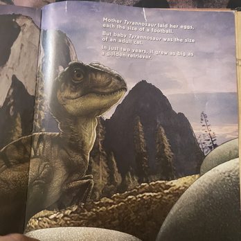 PALO VERDE LIBRARY - Updated October 2025 - 17 Photos - 4402 N 51st Ave ...