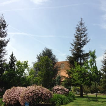 PAZNAZ - Updated December 2025 - 113 Photos & 19 Reviews - 3700 E ...