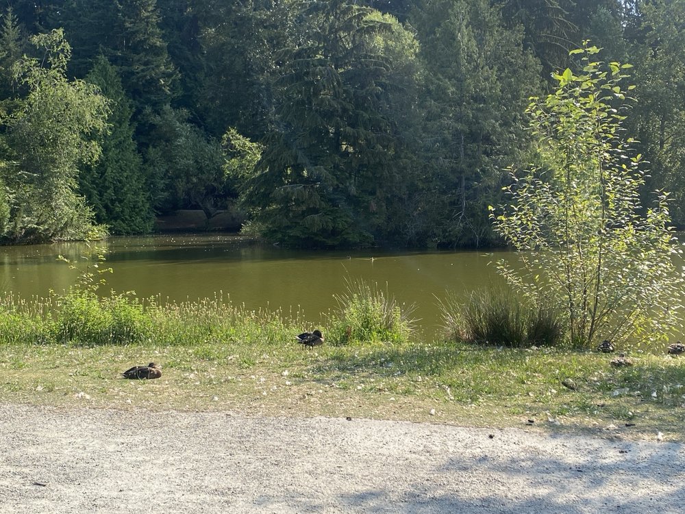 CENTRAL PARK PITCH AND PUTT - Updated January 2026 - 19 Photos & 10 ...