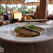 BEACH TREE RESTAURANT BAR AND LOUNGE - 404 Photos & 264 Reviews - 72 ...