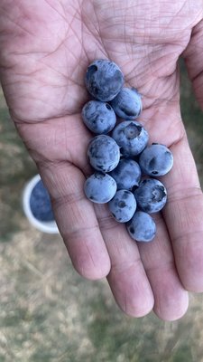 BIG L RANCH - Updated October 2025 - 88 Photos & 12 Reviews - 20899 Ave ...