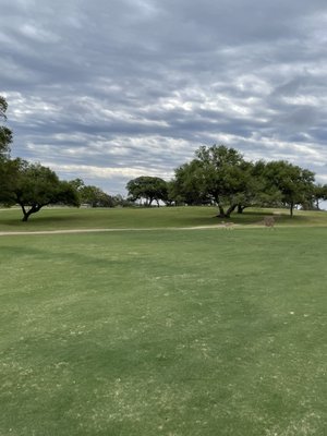 LADY BIRD JOHNSON GOLF COURSE - Updated April 2025 - 341 Golfers Lp ...