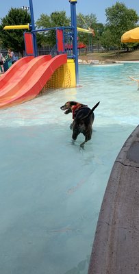 REED ROAD WATER PARK - 17 Photos - 2000 Hastings Ln, Upper Arlington ...