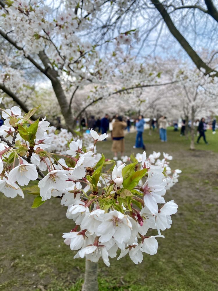TRINITY BELLWOODS PARK - Updated November 2024 - 189 Photos & 95 ...
