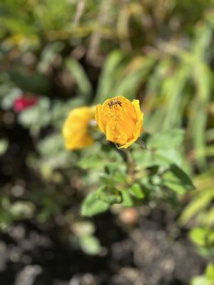 ZOOMONTANA - Updated June 2026 - 167 Photos & 61 Reviews - 2100 S ...