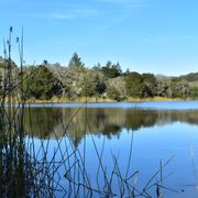 ANNADEL STATE PARK - 306 Photos & 100 Reviews - Parks - 6201 Channel Dr ...
