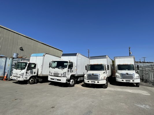 OASIS MOVING COMPANY - Updated May 2025 - 12 Photos & 377 Reviews ...