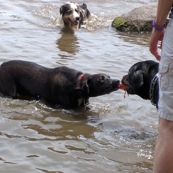 FOX RIVER BLUFF DOG PARK - Updated October 2025 - 31 Photos & 11 ...