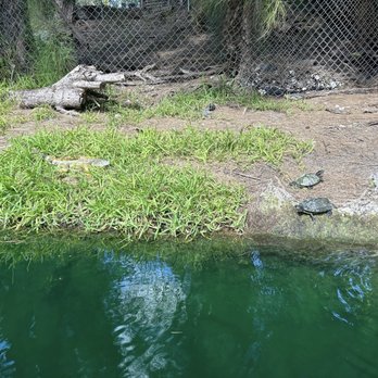 PINTO’S FARM - Updated August 2025 - 549 Photos & 179 Reviews - 14890 ...