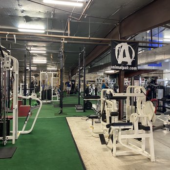 IRON HAWAIIAN FITNESS - Updated December 2025 - 17 Photos & 33 Reviews ...