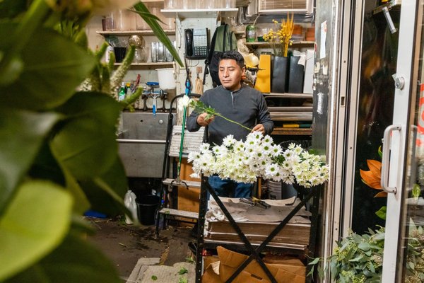 MATLES FLORIST - Updated March 2025 - 82 Photos & 89 Reviews - 329 W ...