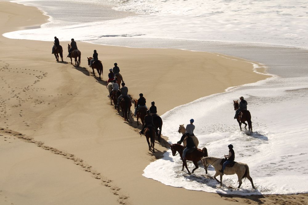 SEA HORSE RANCH - Updated June 2024 - 228 Photos & 538 Reviews - 1828 ...