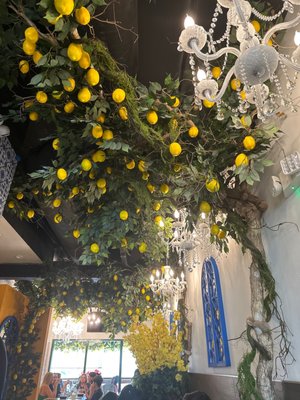 IL LAGO TRATTORIA - 41 Photos - 2475 NW 95th Ave, Doral, FL - Menu - Yelp