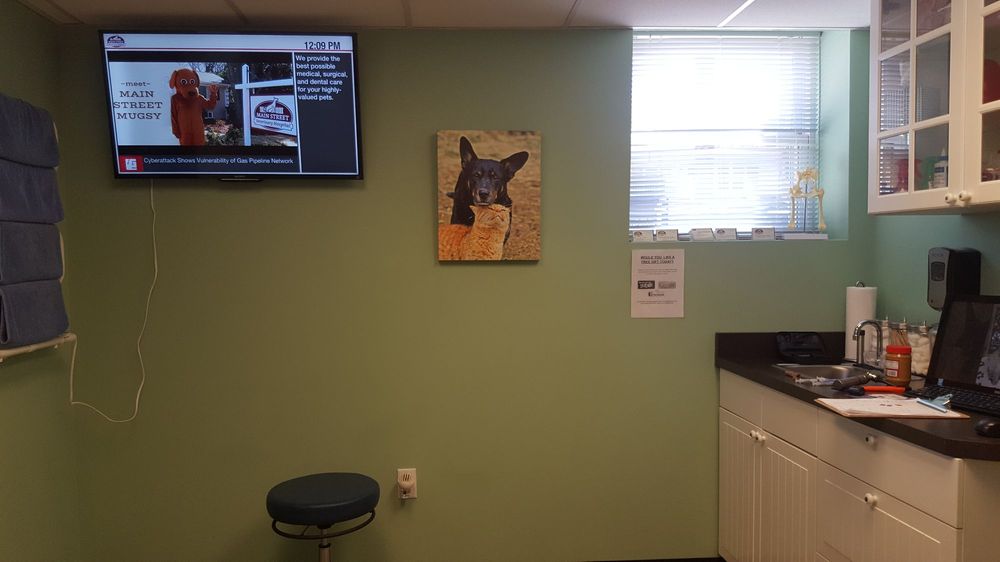 MAIN STREET VETERINARY HOSPITAL - 31 Photos & 51 Reviews ...