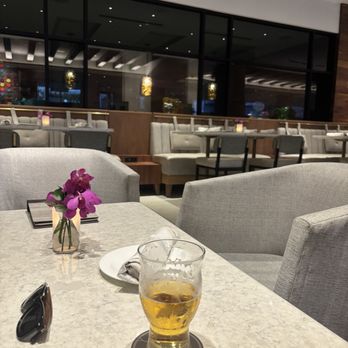 BAR COLLINS AT LOEWS MIAMI - Updated November 2024 - 236 Photos & 88 ...