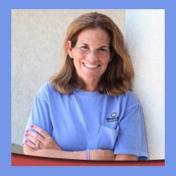 LAW OFFICE OF SUSAN M. KORNGUT - Updated August 2025 - 919 New Rd ...