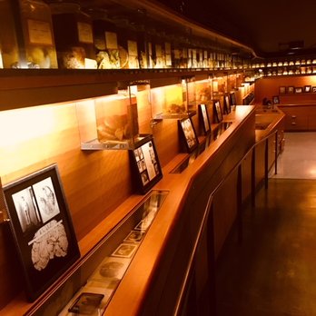 THE CUSHING CENTER - Updated December 2025 - 14 Photos - 333 Cedar St ...