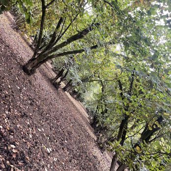 DORRIS RANCH - Updated July 2025 - 51 Photos & 15 Reviews - South 2nd ...