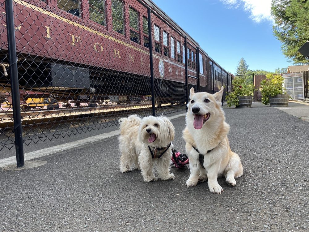 SKUNK TRAIN NORTHSPUR STATION - Updated March 2024 - 16 Photos - 12850 ...