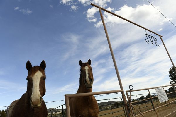 JUNIPER VALLEY RANCH - Updated December 2024 - 146 Photos & 120 Reviews ...