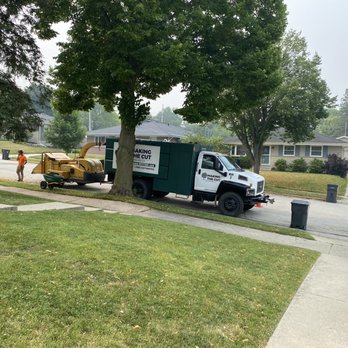 MAKING THE CUT TREE SERVICES - Updated September 2025 - 26 Photos & 10 ...
