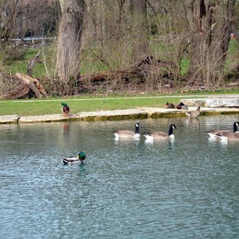 WHETSTONE PARK OF ROSES - Updated June 2024 - 330 Photos & 116 Reviews ...