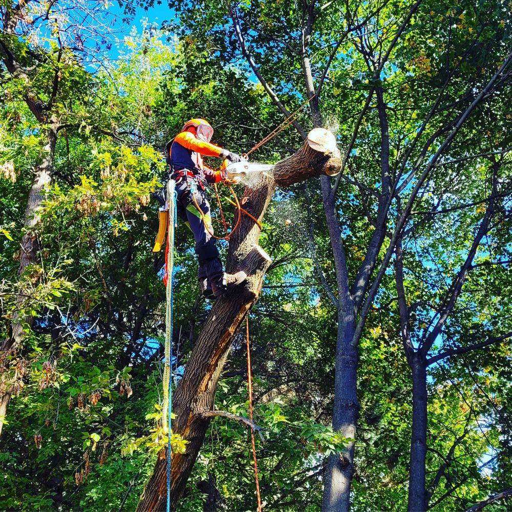 GUARANTREE SERVICES - Updated March 2025 - 12 Photos - Lakefield ...