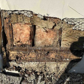 PACIFIC COAST TERMITE - Updated January 2025 - 53 Photos & 409 Reviews ...