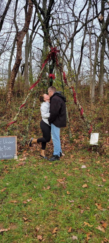 MOOSE APPLE CHRISTMAS TREE FARM - Updated May 2026 - 19 Photos & 29 ...