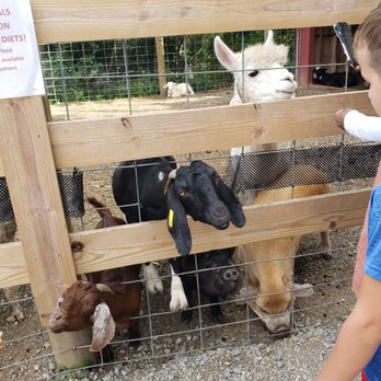 DEMAREST FARM - Updated October 2024 - 800 Photos & 340 Reviews - 244 ...