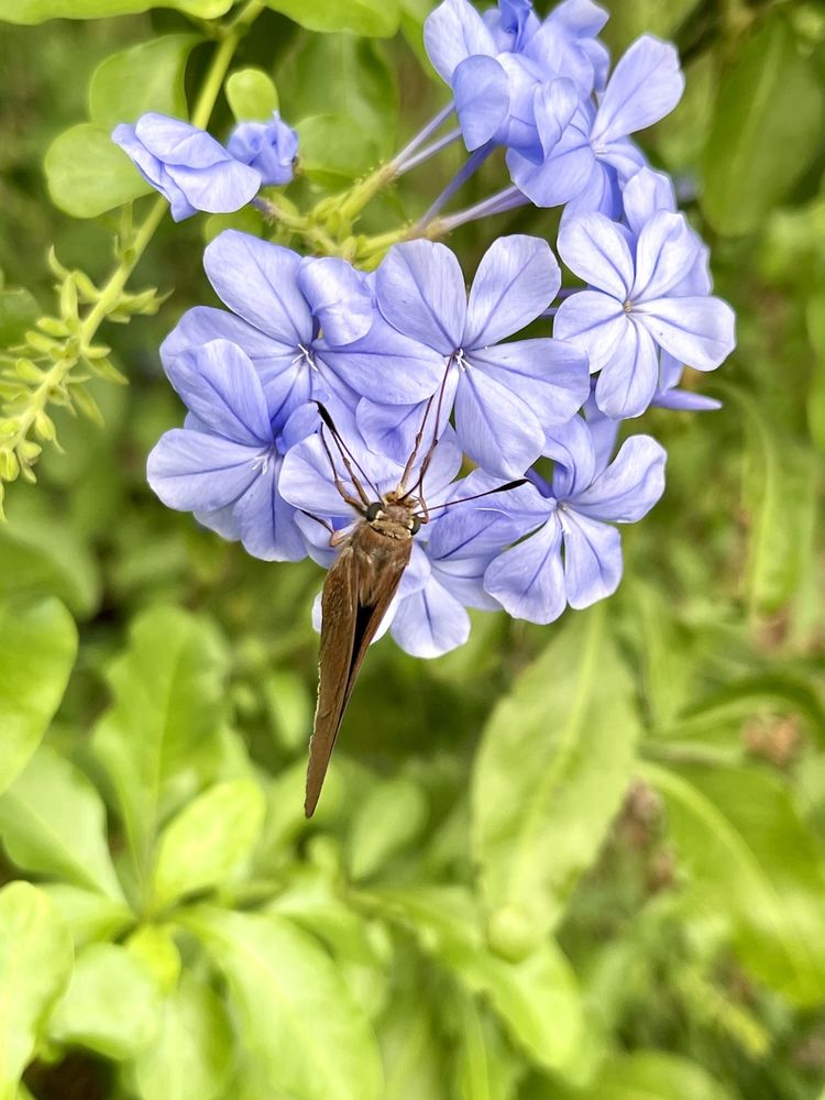 DAGGERWING NATURE CENTER - Updated August 2024 - 124 Photos & 15 ...