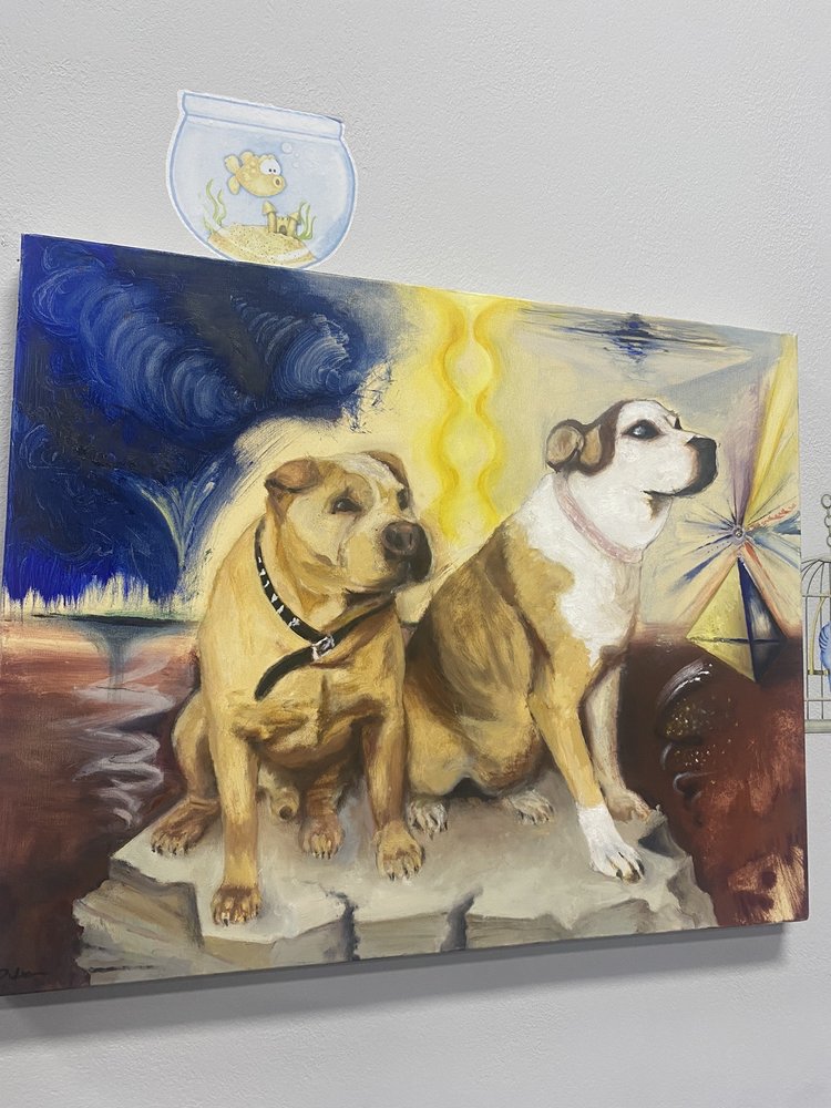 THE BARKING LOT - Updated May 2025 - 12 Photos & 36 Reviews - 336 N ...