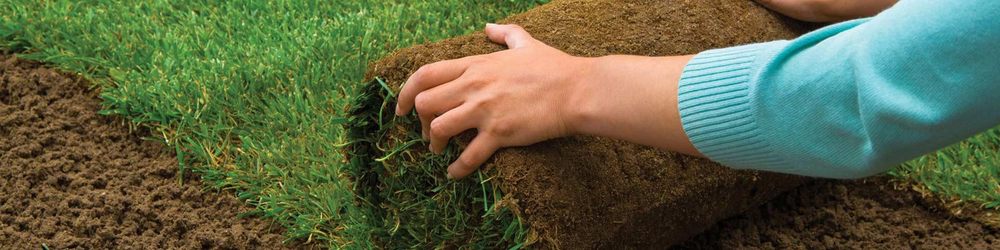 W HOFFMAN SOD - Updated September 2025 - 15740 Lexington Ave NE, Ham ...