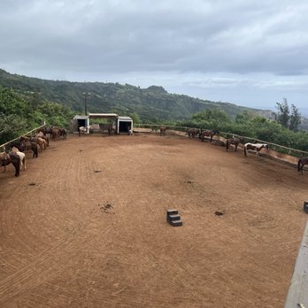 CIRCLE M RANCH - Updated June 2025 - 440 Photos & 273 Reviews - 3530 ...