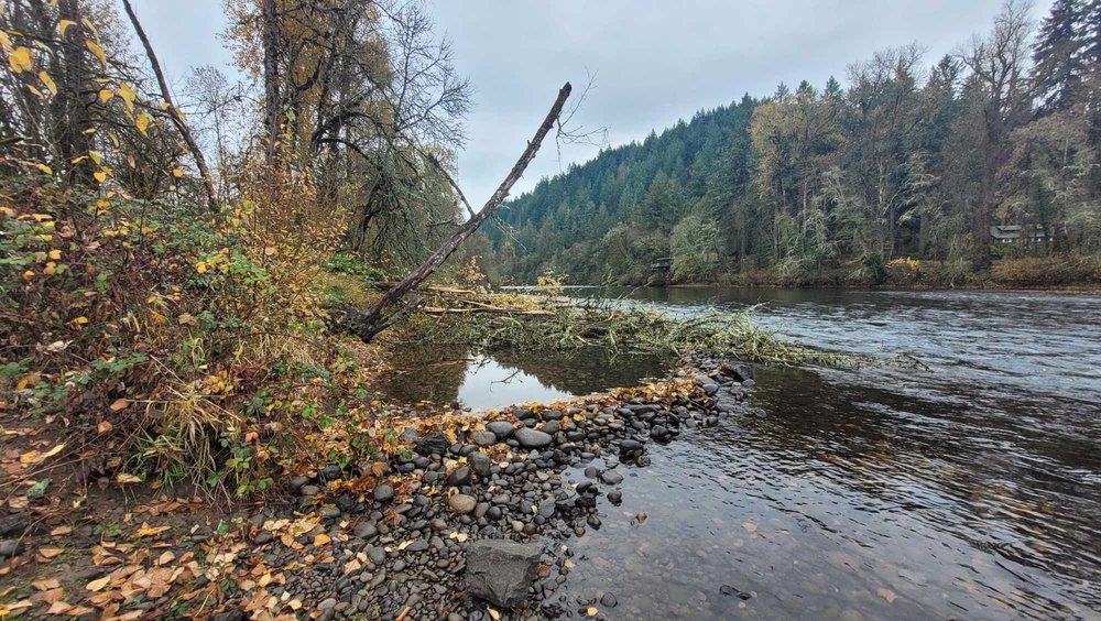 HENDRICKS BRIDGE COUNTY PARK - Updated February 2025 - 38870 Hendricks ...