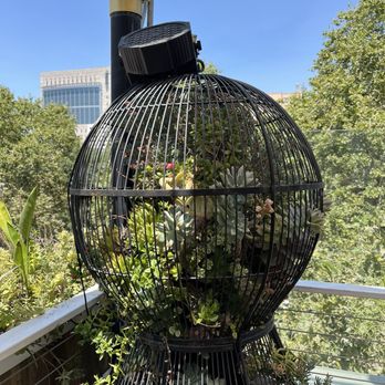 DARLING AVIARY - Updated April 2025 - 870 Photos & 677 Reviews - 712 K ...