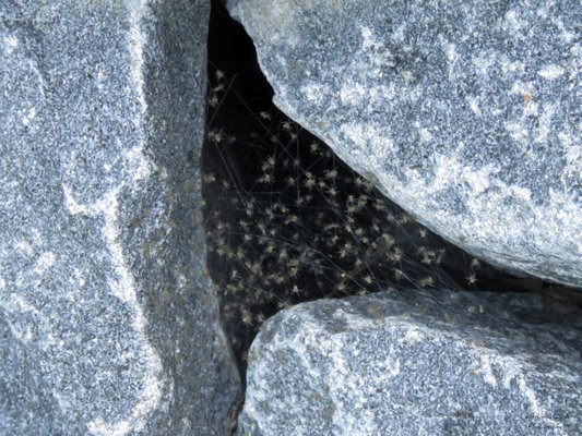 DIFFICULT RUN STREAM VALLEY PARK - Updated July 2025 - 22 Photos - 8801 ...