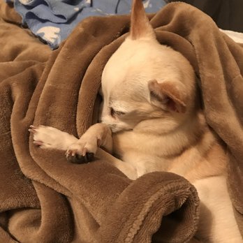 TOLEDO HUMANE SOCIETY - Updated October 2025 - 20 Photos & 14 Reviews ...