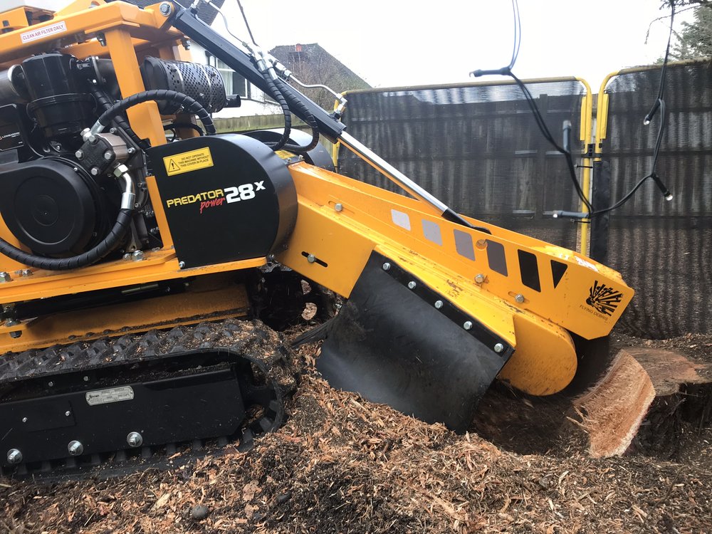 LONDON TREE STUMP REMOVAL COMPANY - 38 Links Way, Beckenham, London ...