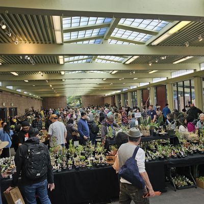 SAN FRANCISCO COUNTY FAIR BUILDING - Updated October 2025 - 131 Photos ...