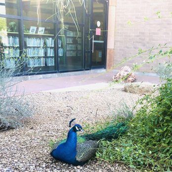 GLENDALE PUBLIC LIBRARY - Updated October 2025 - 89 Photos & 21 Reviews ...