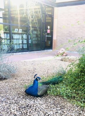 GLENDALE PUBLIC LIBRARY - Updated October 2025 - 89 Photos & 21 Reviews ...