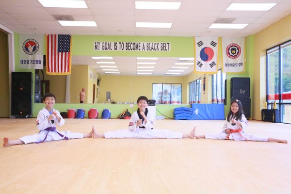 TIGER KIM’S PRO TAE KWON DO - Updated December 2025 - 13 Photos - 10213 ...