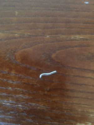 El Nopal Bakery - Reserve Now - Bakeries - Updated June 2025 - 28 ...