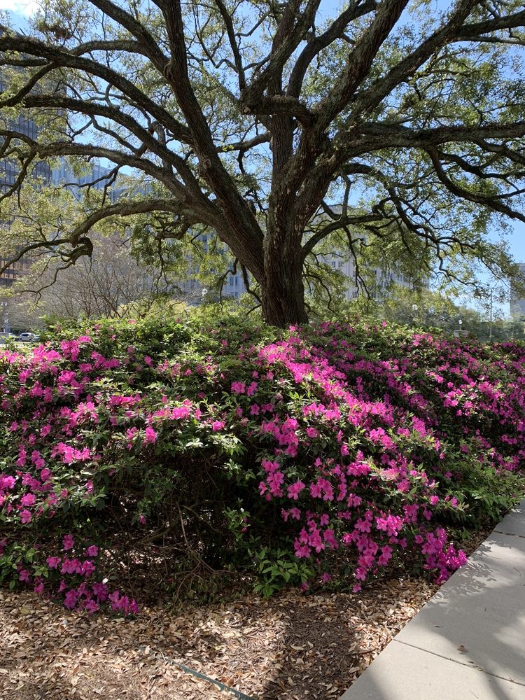 Capitol Park Museum, Baton Rouge | Roadtrippers