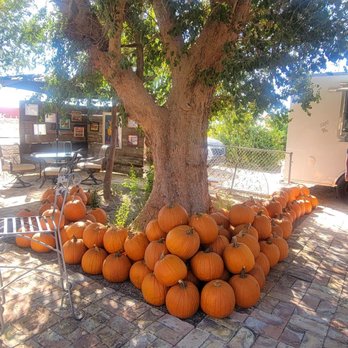 THE LEMON GROVE - Updated October 2025 - 24 Photos & 28 Reviews - 4200 ...