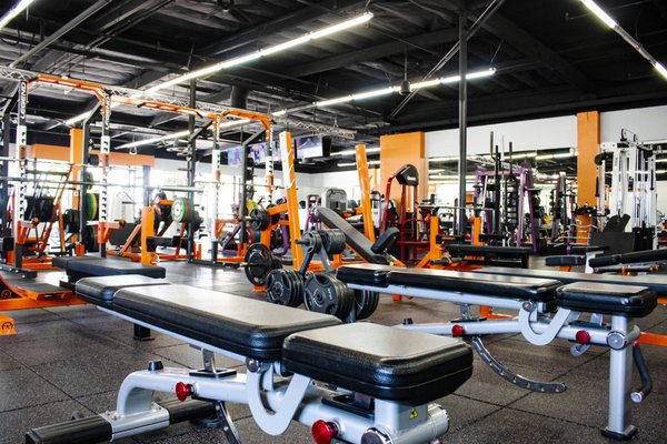 MUSCLE FACTORY GYM Updated January 2025 18 Photos 18 Reviews 1301 E University Dr Tempe Arizona Gyms Phone Number Yelp