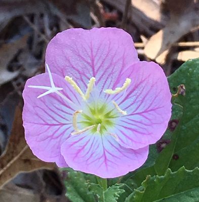 MAMMEN FAMILY PUBLIC LIBRARY - Updated October 2025 - 26 Photos - 131 ...