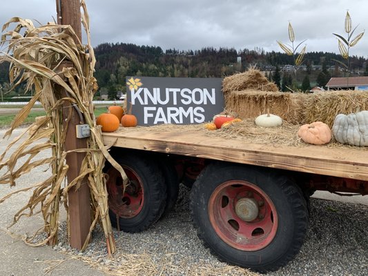 KNUTSON FARMS - Farms - 16406 78TH ST E, Sumner, WA - Phone Number - Yelp