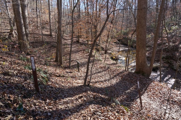 ELACHEE NATURE SCIENCE CENTER - 59 Photos & 11 Reviews - 2125 Elachee ...